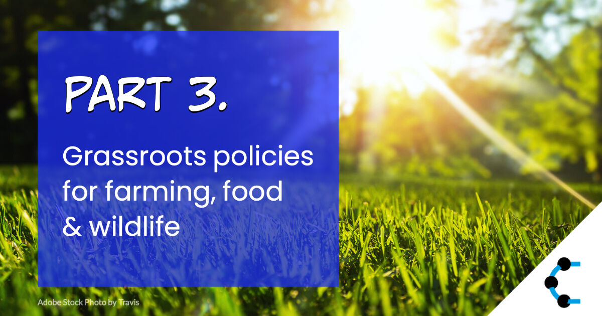 Part 3: Grassroots Policies