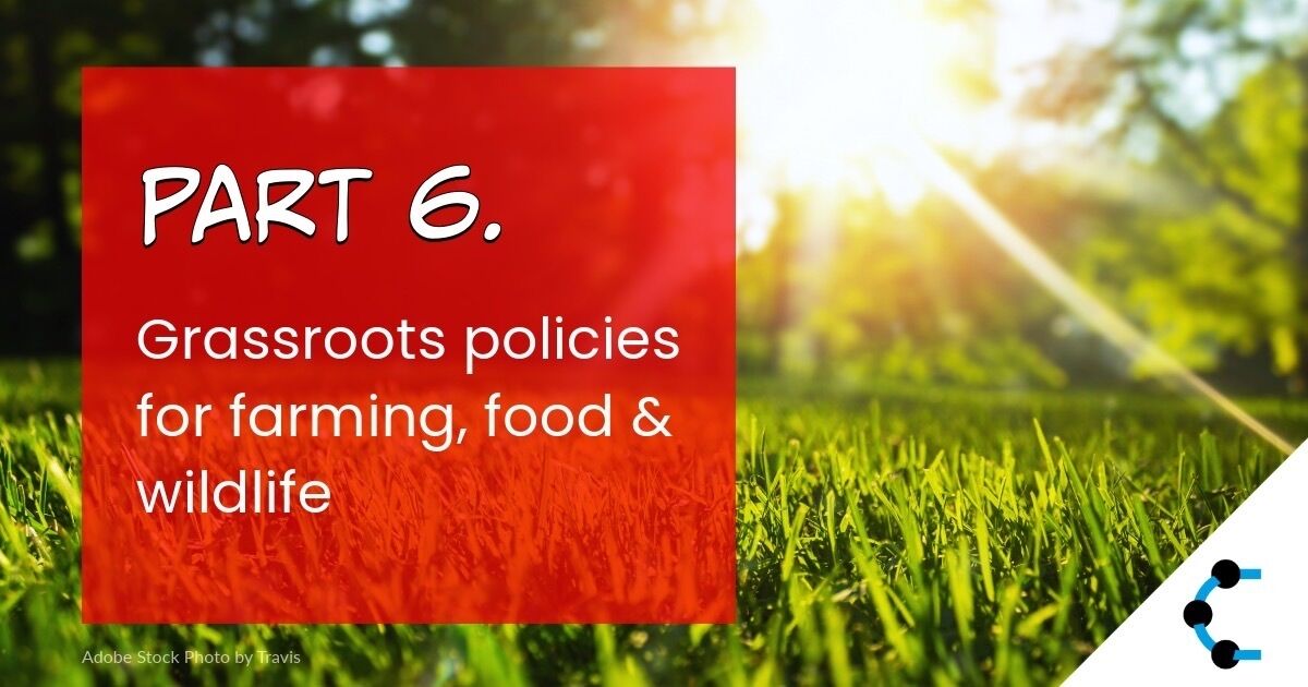 Part 6: Grassroots Policies